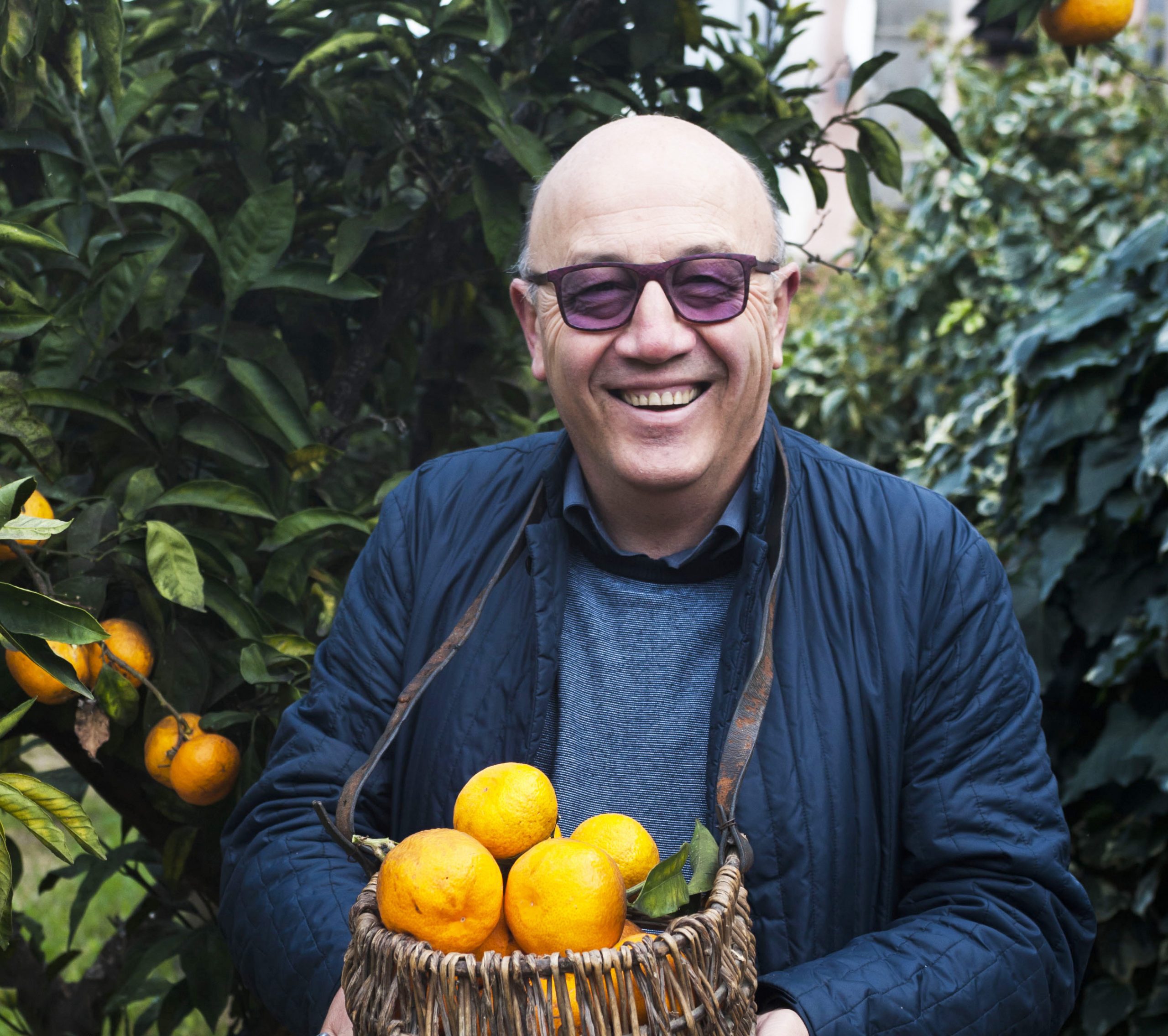 Olive oils flavored by the Ursini family