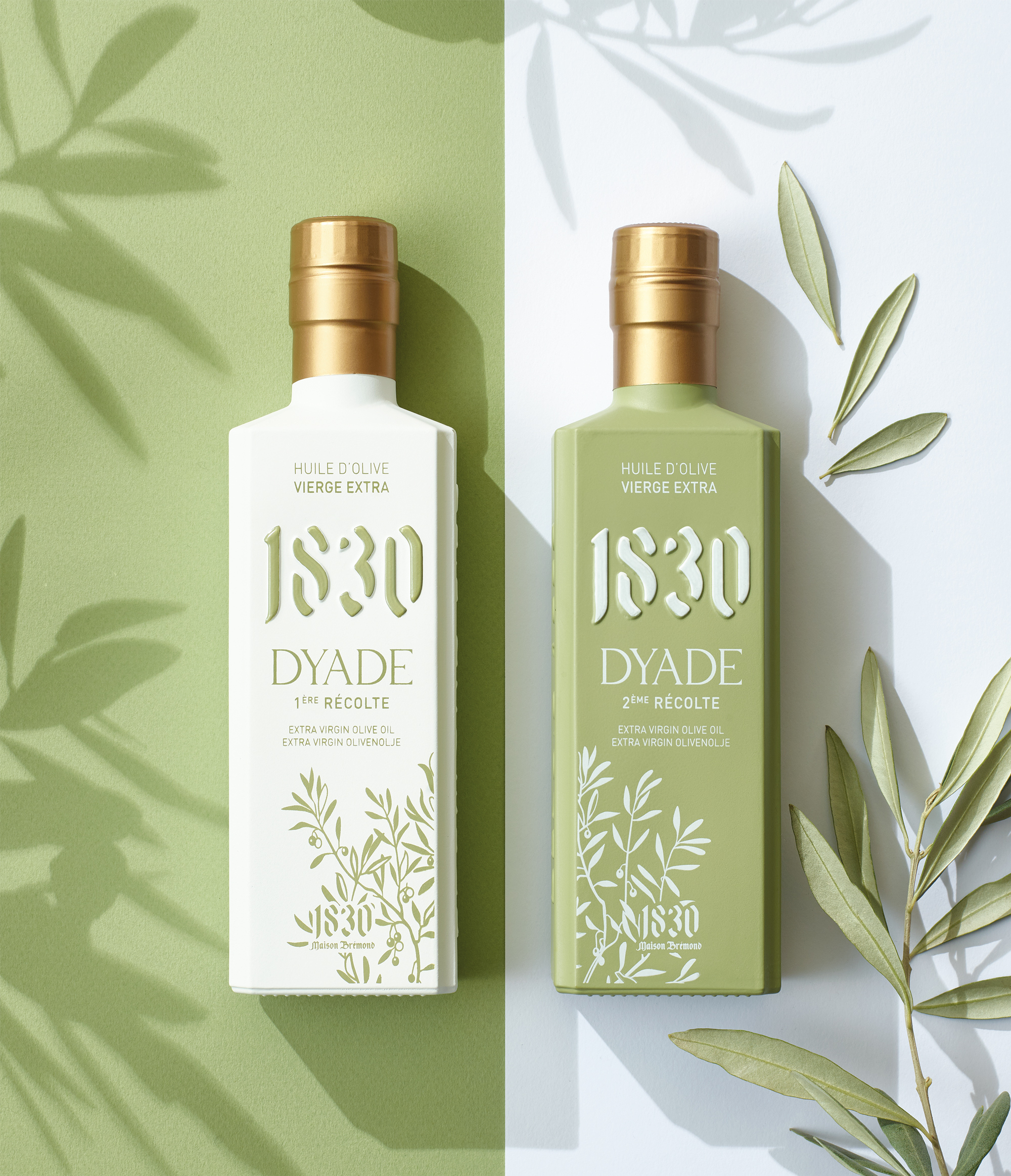 L'huile d'olive Dyade : une récolte à deux temps - Blog - Maison Brémond